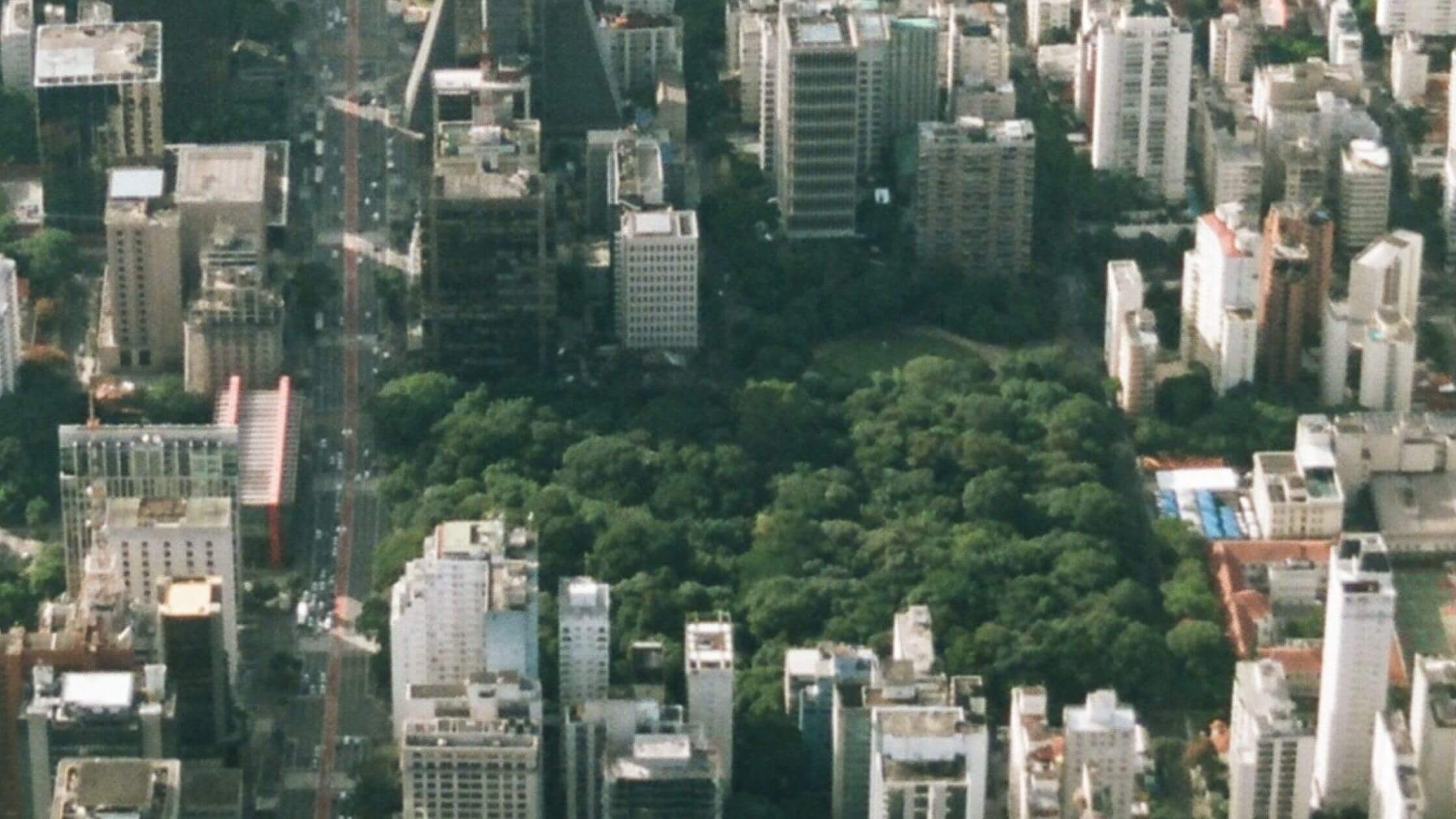 Parque Trianon, o pedaço de Mata Atlântica no coração da Avenida ...